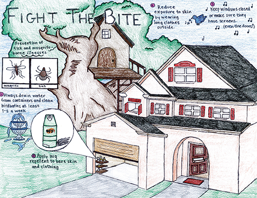 NC DPH: Fight the Bite Contest Winners