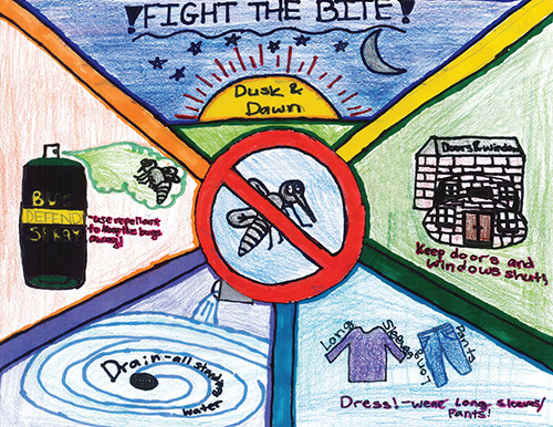 NC DPH: Fight the Bite Contest Winners